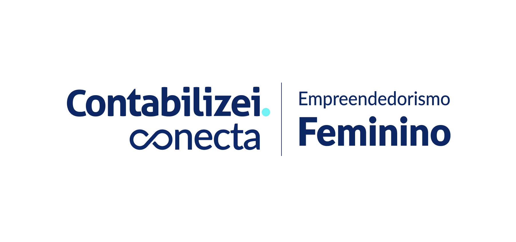 Conecta Contabilizei SEF